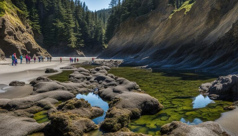 Hug Point State Recreation Site: Explore Oregon Parks - Verdant Traveler
