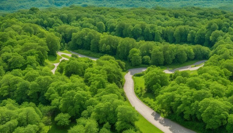 Babler State Park: Explore Missouri - Verdant Traveler
