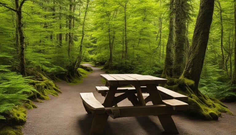 Chilkat State Park: Explore Alaska - Verdant Traveler