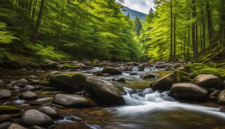 Mohawk Trail State Forest: Explore Massachusetts Parks - Verdant Traveler