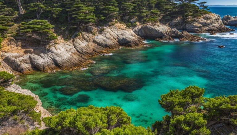 Point Lobos State Natural Reserve: Explore California Parks - Verdant ...