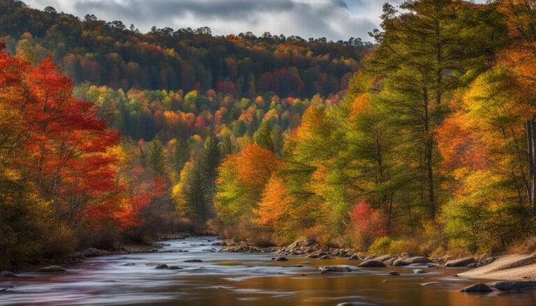Wharton State Forest: Explore New Jersey Parks - Verdant Traveler