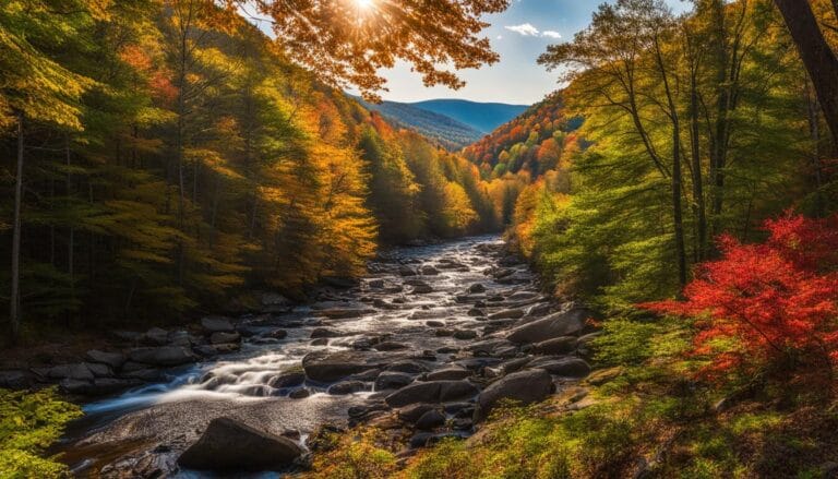 Clarksburg State Park: Explore Massachusetts' Hidden Gem - Verdant Traveler