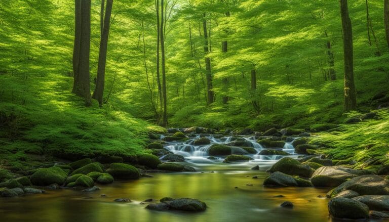 Pachaug State Forest: Explore Connecticut Parks - Verdant Traveler