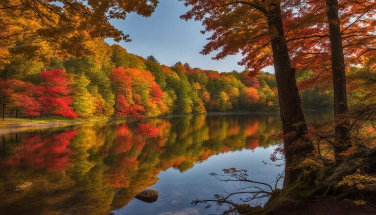 Maidstone State Park: Explore Vermont - Verdant Traveler