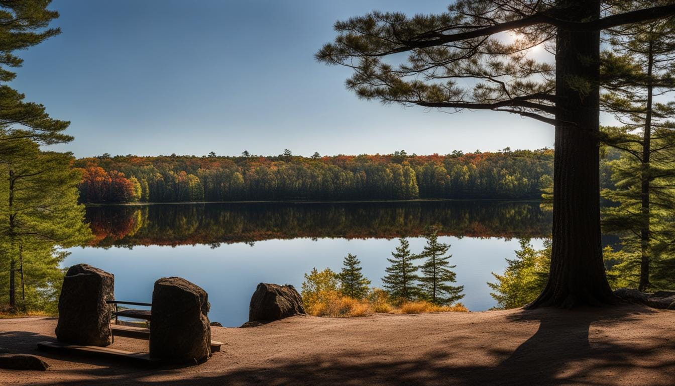 Myles Standish State Forest: Explore Massachusetts Parks - Verdant Traveler