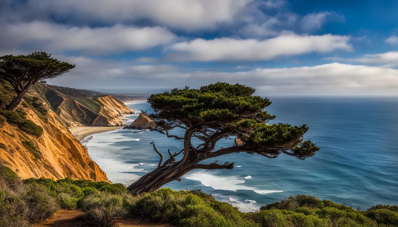 Torrey Pines State Natural Reserve: Explore California Parks - Verdant ...