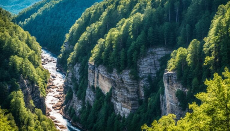 6 State Parks Near Augusta GA: Discover the Natural Beauty of Georgia